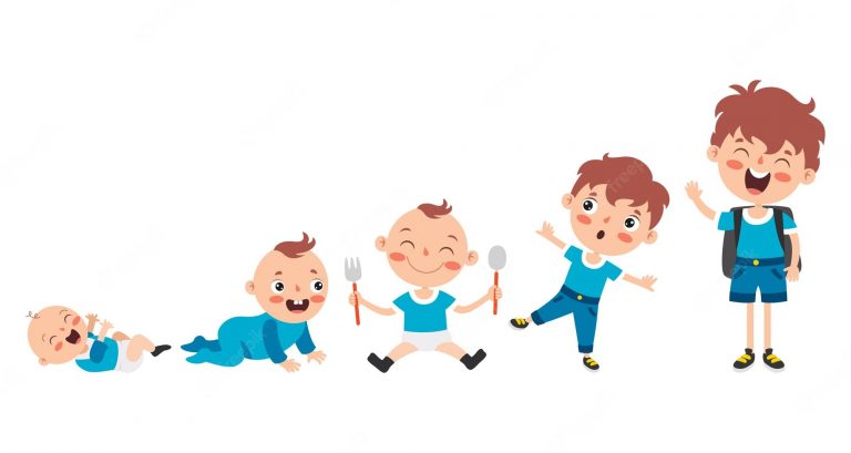 Les 4 étapes d'un bébé à l'âge adulte - WAP Educ